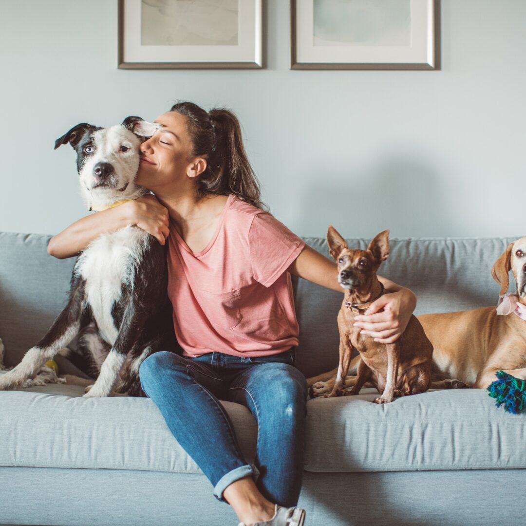 Renting with Pets – What Landlords and Tenants Need to Know in 2025 ...